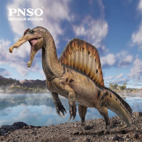 New Release Aymen The Spinosaurus 135 Scientific Art Model From Pnso