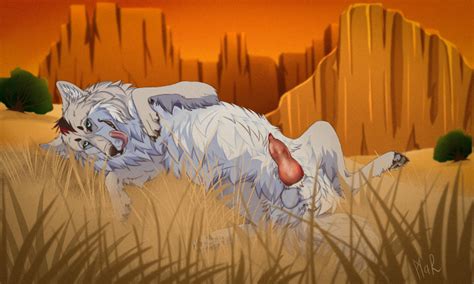 Rule 34 Balls Canid Canine Canis Evening Feral Genitals Grass Hi Res