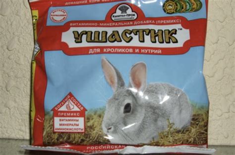 Витамины для кроликов: какие лучше давать для здоровья и хорошего роста