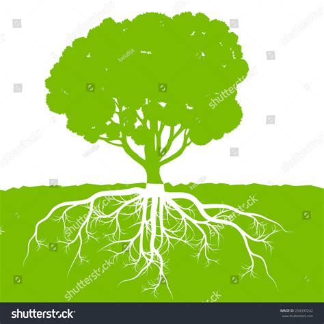 Tree Roots Background Ecology Vector Concept Stock Vector Royalty Free Shutterstock