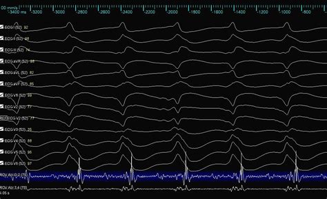 Julia Riedel Posted On Linkedin