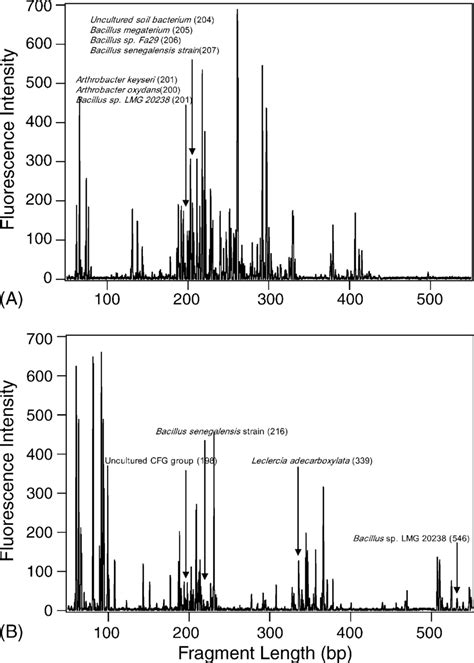 Terminal Restriction Fragment Length Polymorphism T Rflp Profiles Download Scientific Diagram