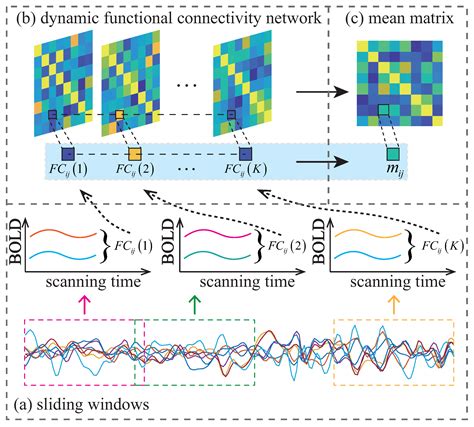 A Similarity Measure Based Approach Using Rs Fmri Data For Autism