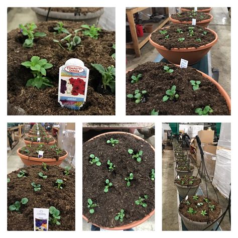 Hydrafiber Our Friends Bobs Market And Greenhouses Inc