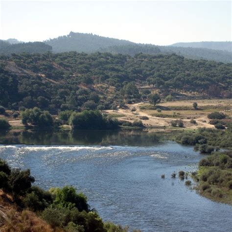 O Rio Tejo Em Ortiga Mação 2006
