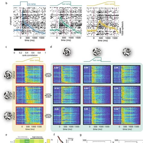 rank order of response sequences enables fast decoding of stimulus download scientific diagram