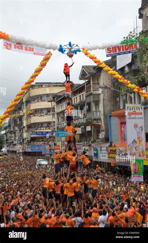 Govinda Dahi Handi Human Pyramid In Process Of Breaking Dahi Handi