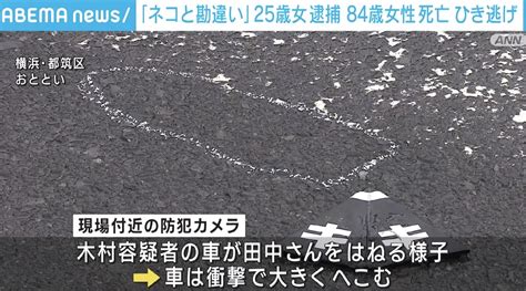 「ネコか何かと勘違いした」84歳女性をひき逃げか 25歳女を逮捕 横浜市 国内 Abema Times アベマタイムズ