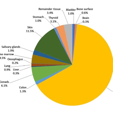 Contribution Of Each Organ To The Calculated Effective Dose Download Scientific Diagram
