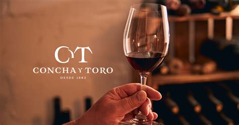 Vinhos Concha Y Toro Em Oferta Na Amazon A Partir De R 19