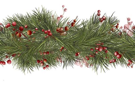 푹신푹신한 소나무 가지와 빨간 열매 수평 테두리에 크리스마스 녹색 가지 배경에 고립되어 있습니다 디지털로 된 수채화 그림입니다 크리스마스를 위한 소나무와 겨울 열매의 녹색