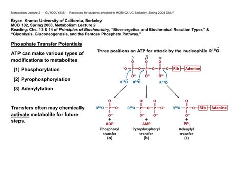 Phosphoryl Group Transfer