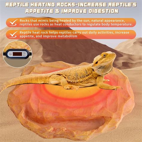 Reptile Heating Rock Thermostatically Controlled Reptile Heating Rock