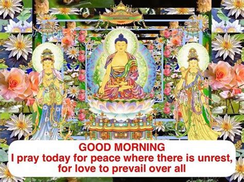 Good Morning☸️ Buddhaful Day☸️ Buddha Teachings Good Morning Buddhism