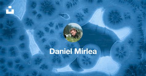Daniel Mirlea Danielmirlea Unsplash Photo Community