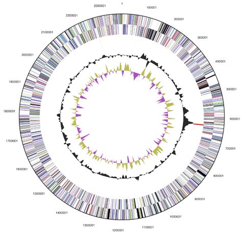 Graphical Circular Map Of The Genome From Outside To The Center Genes
