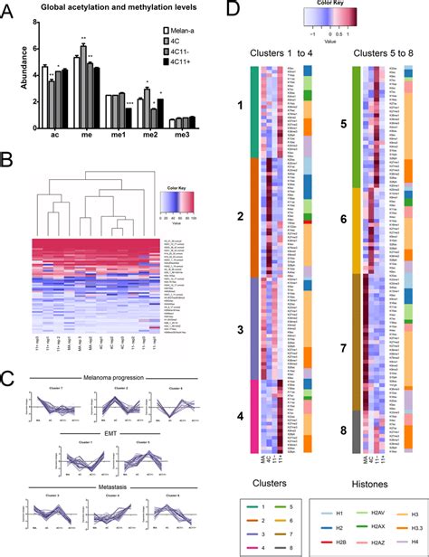 Analysis Of Global And Combinatorial Histone Modifications Ptms Download Scientific Diagram