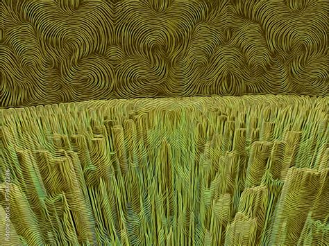 Muddy Dull Green Coloured 3d Contour Line Random Lines And Wiggles Stock Illustration Adobe Stock
