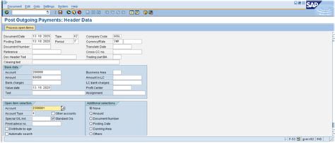 Sap Fico Partial And Residual Payments Sap Fico