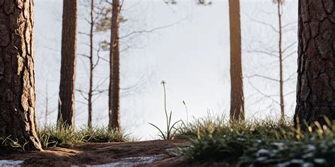 What Are Adaptogens And How Do They Work A Guide Reclaim Labs