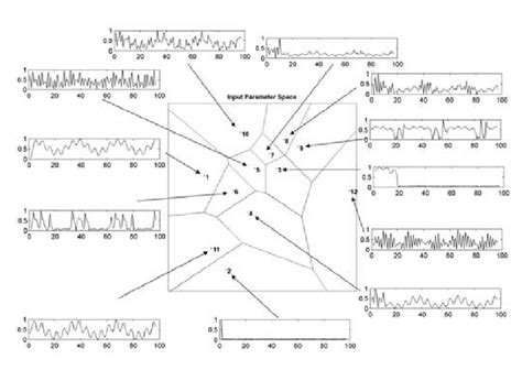 12 Different Behaviours Displayed By The Npz Model And Their Location