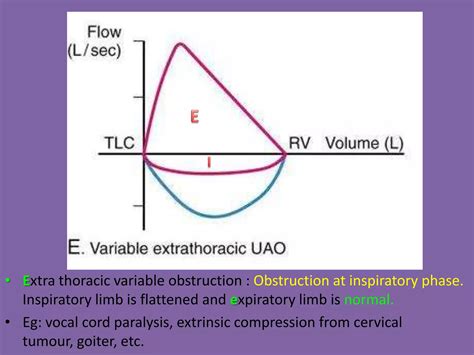 Pulmonary Flow Volume Loops Dr Padmesh Ppt