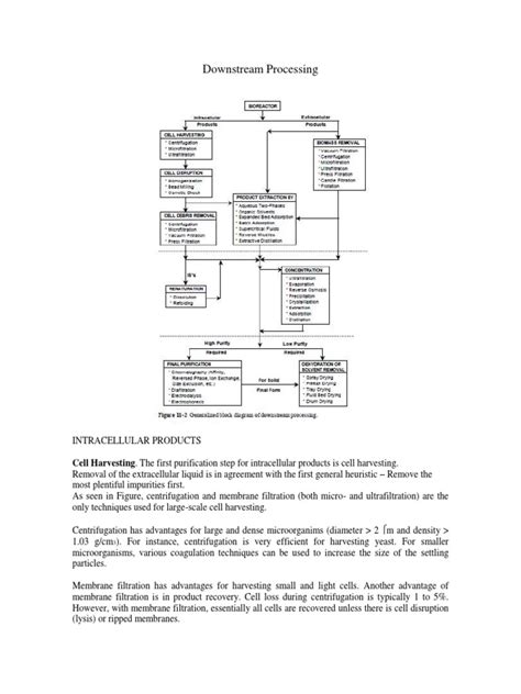 Downstream Processing Pdf Protein Purification Filtration