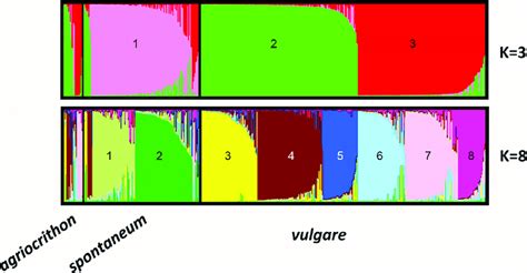 Clustering Of Accessions Of Three Barley Taxa Using Instruct Analysis Download Scientific