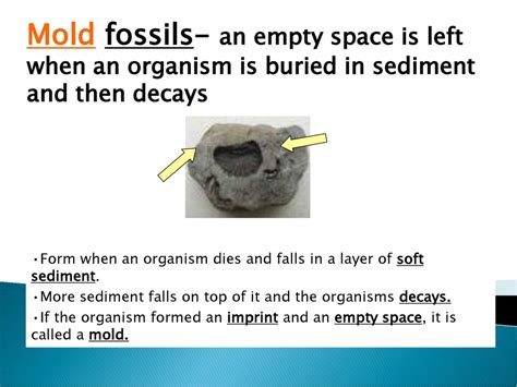 Bellwork Please Walk In Silently Stop By The Pick Up Table Ppt Download