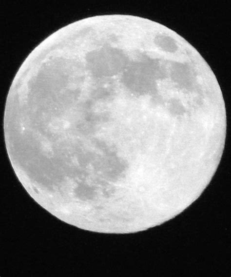 Full Moon Hot Sex Horny Women Moon Phases Effects