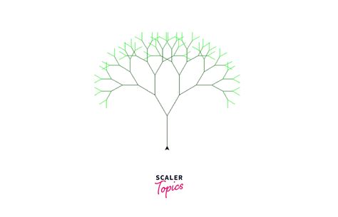 Turtle Programming In Python Scaler Topics