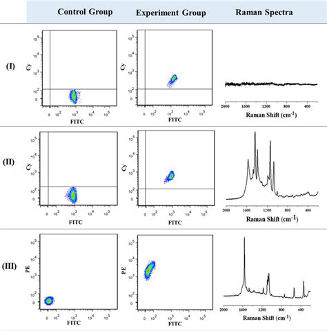 The Flow Cytometer Analysis Images And Raman Spectra Of Encoded