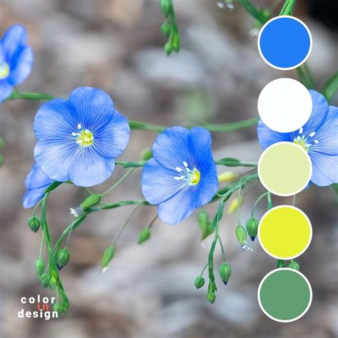 Сочетание цветов королевский синий белый желтый зеленый Сочетание цветов Стикер арт
