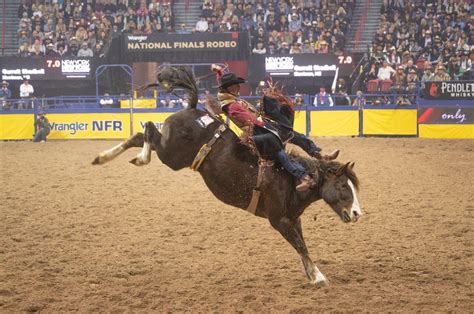Rodeo Fans To Enjoy A Variety Of On Site Entertainment Prior To And