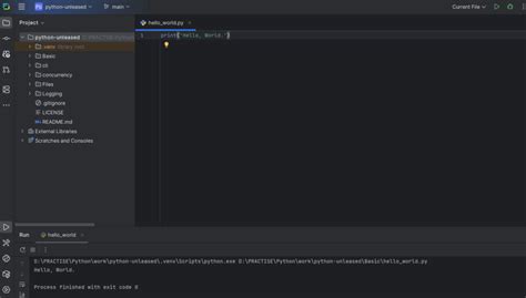 Python Code Execution Outshine Labs