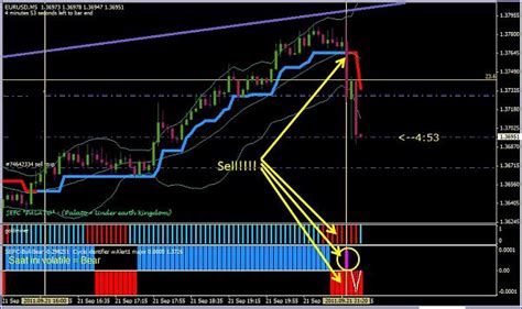 Sefc Cycle System Trader Robotic Trading Systems Mql4 And Metatrader 4 Mql4 Programming Forum
