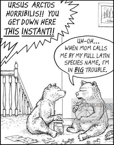 Taxonomy Cartoons Taxonomy Cartoon Funny Taxonomy Picture Taxonomy