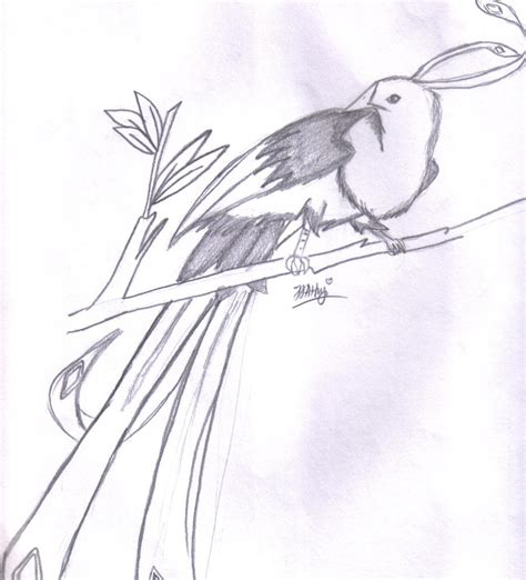 Ibong Adarna Bird Animation