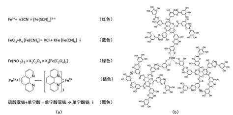 冬奥主题创新科普实验