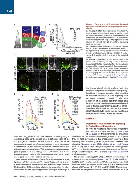 Solution Gene Regulatory Logic For Reading The Sonic Hedgehog