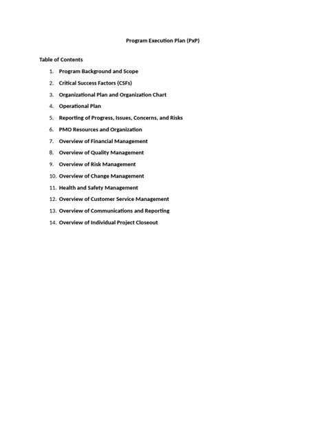 Program Execution Plan Pdf Project Management Business