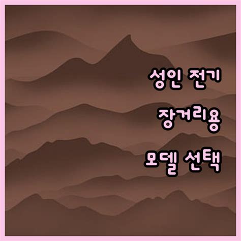 성인용 전기 자전거 장거리 주행 모델 선택 가이드