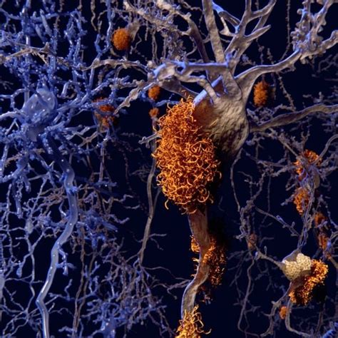 Research Bioengineering Rice University