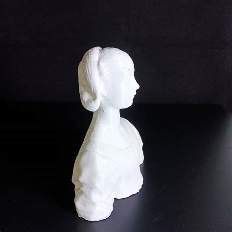 3d Printable Portrait Of Marietta Strozzi By Scan The World