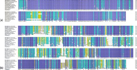 Protein Sequence Alignment Of B Cell Transcription Factors A