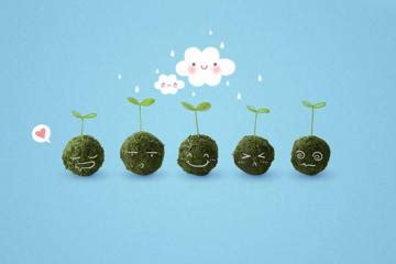 清新壁纸高清高清清新壁纸下载