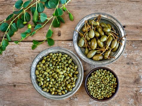 Kapari Nasıl Saklanır 4 Farklı Yöntem