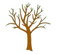Printable Brown Tree Branch Template ClipArt Best