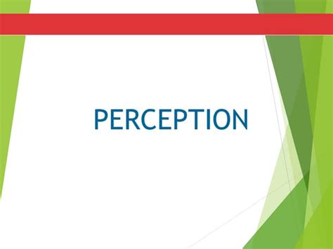 Perception Meaning Definition Stages Factors Pptx