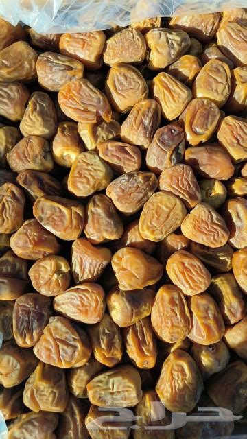 تمر سكري مفتل ملكي 10 000 كرتون موقع حراج